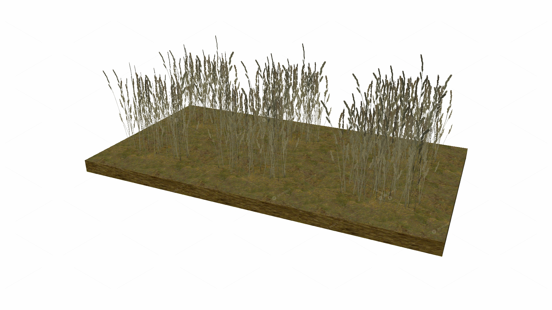 Modern Crops
