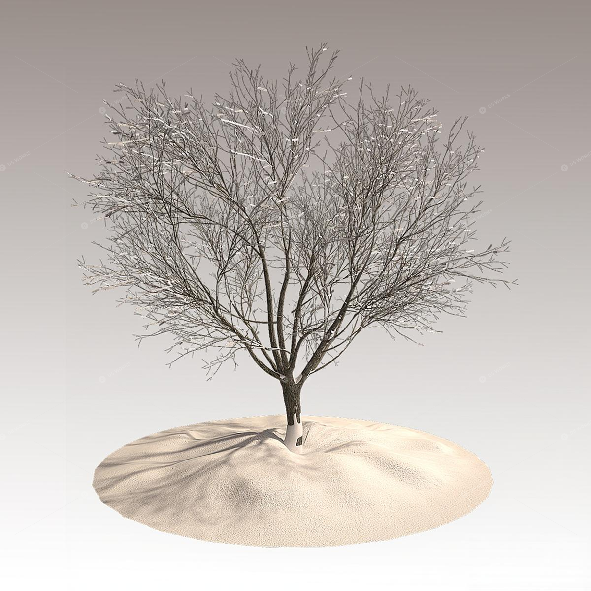 Modern Trees