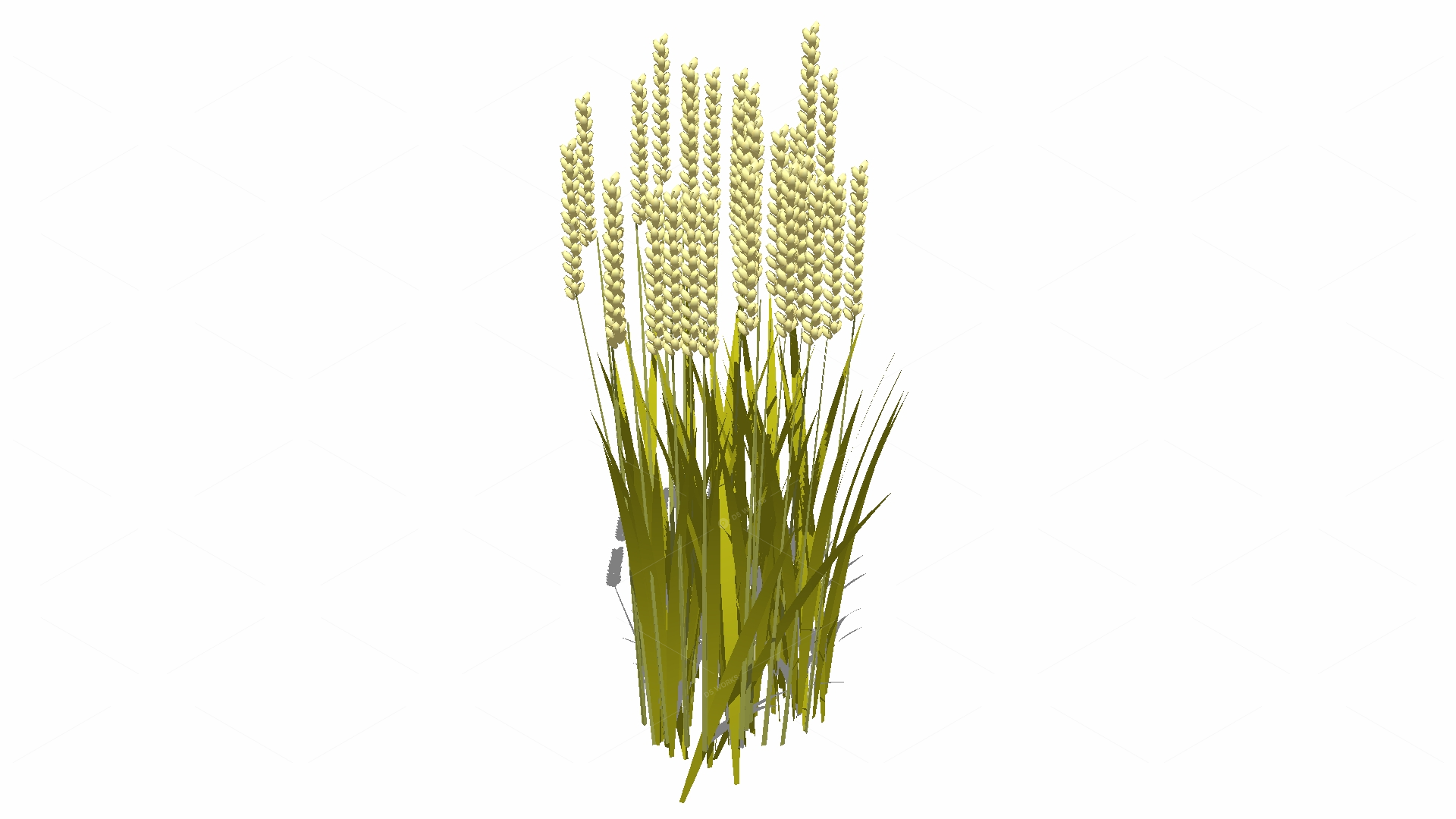 Modern Crops