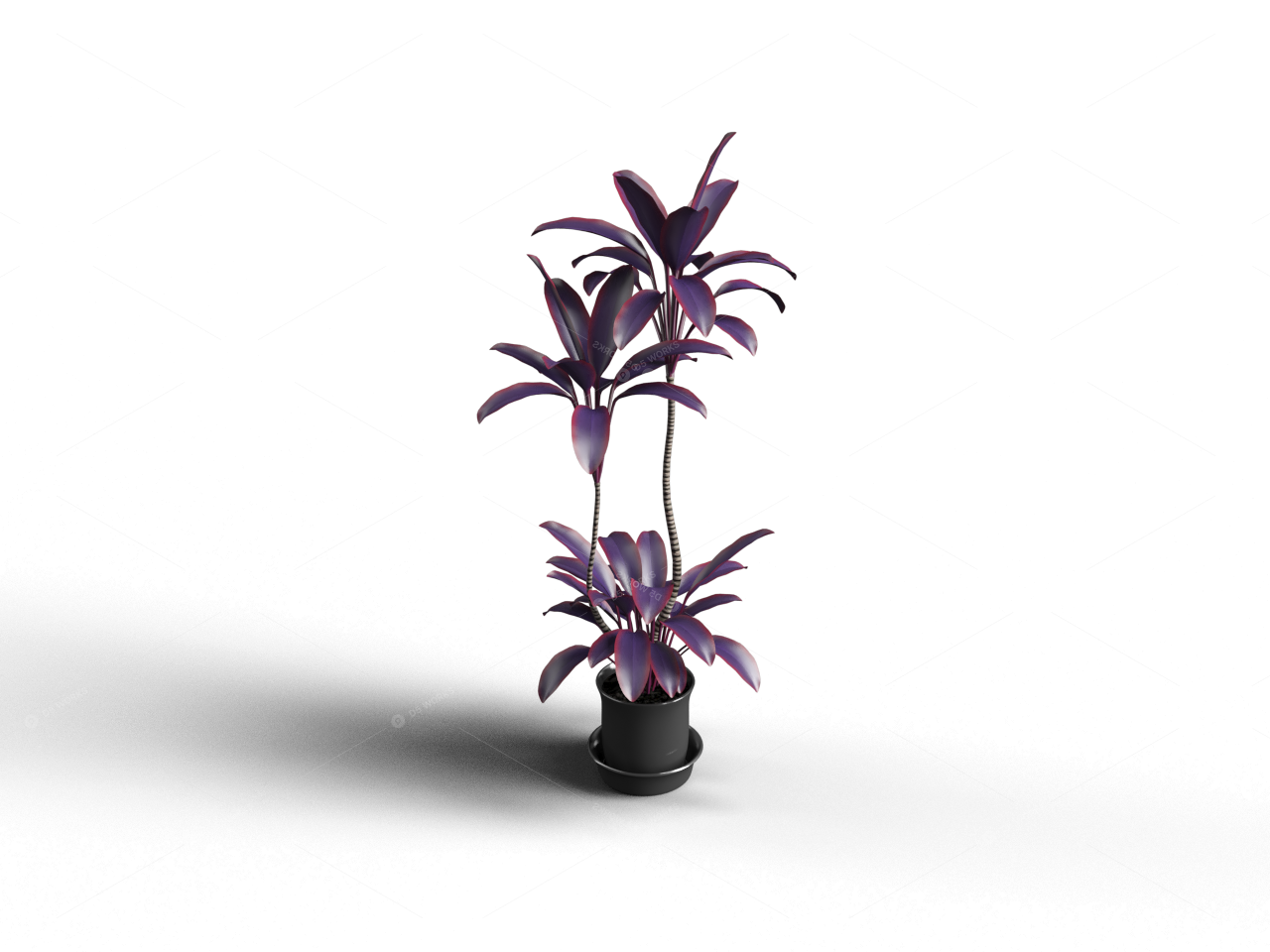 Modern Potted Plant
