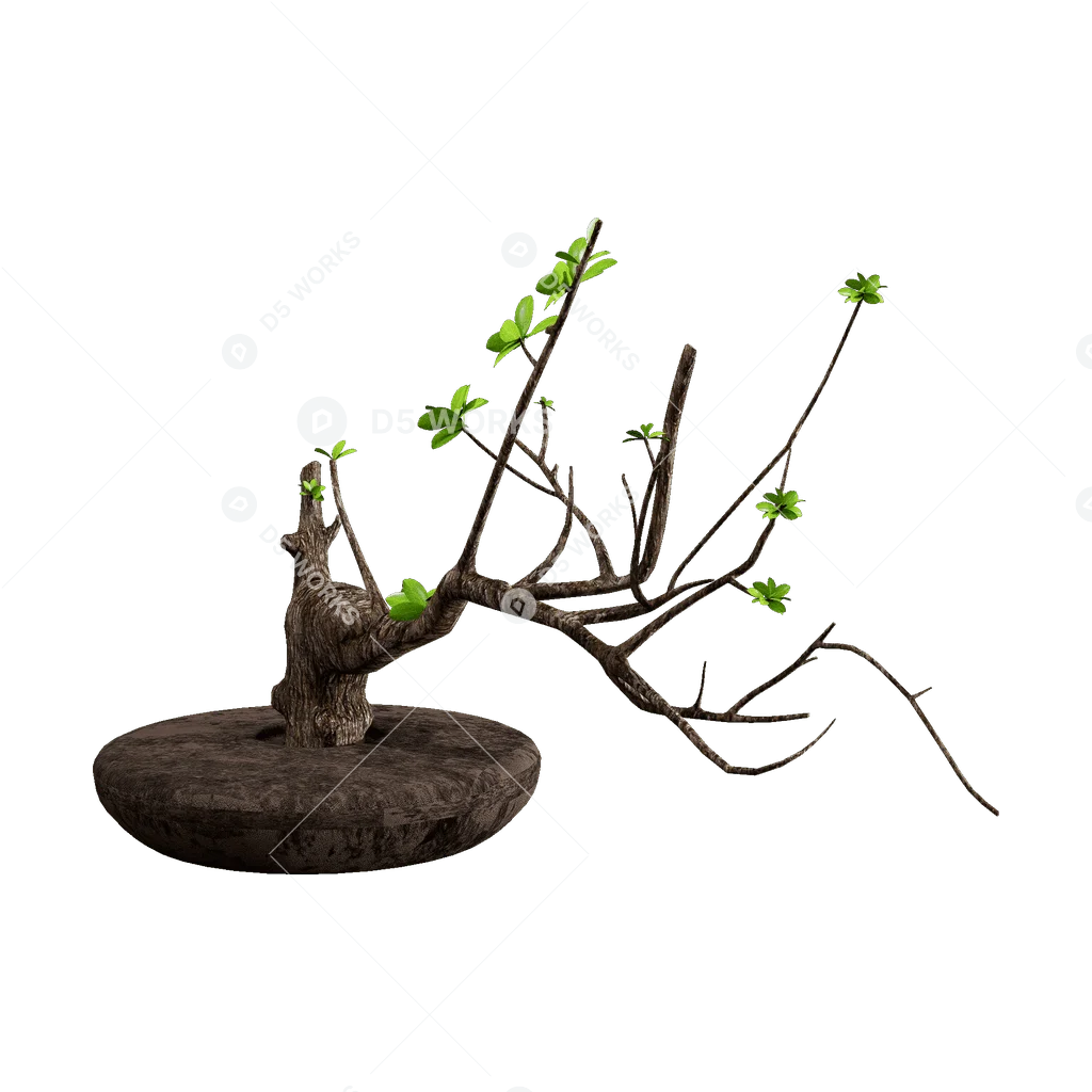 Chinese potted plants 03
