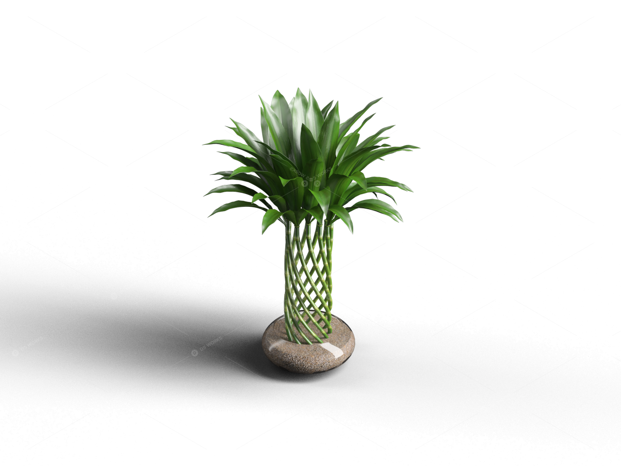 Modern Potted Plant